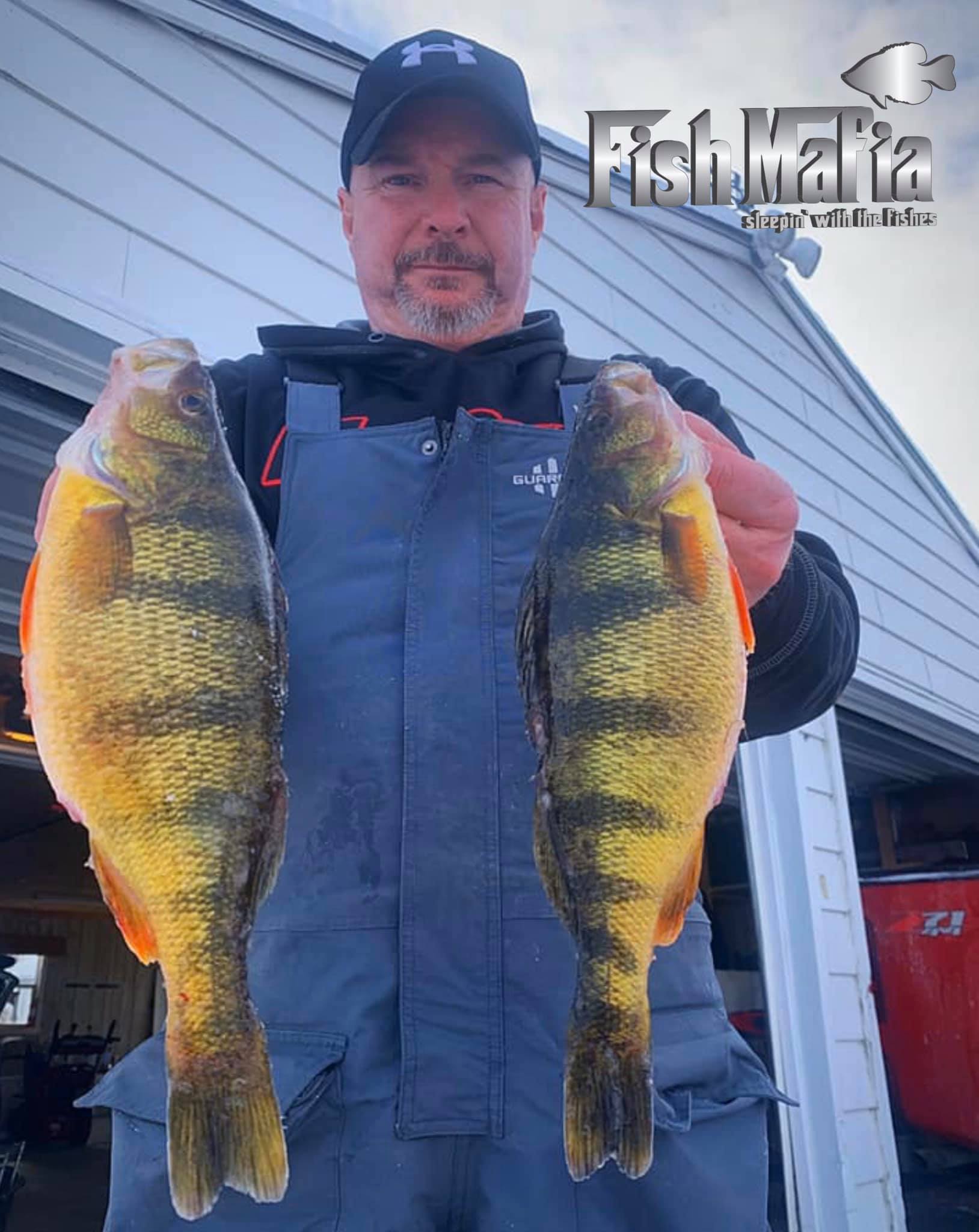 #FishMafiaStrong – Fish Mafia